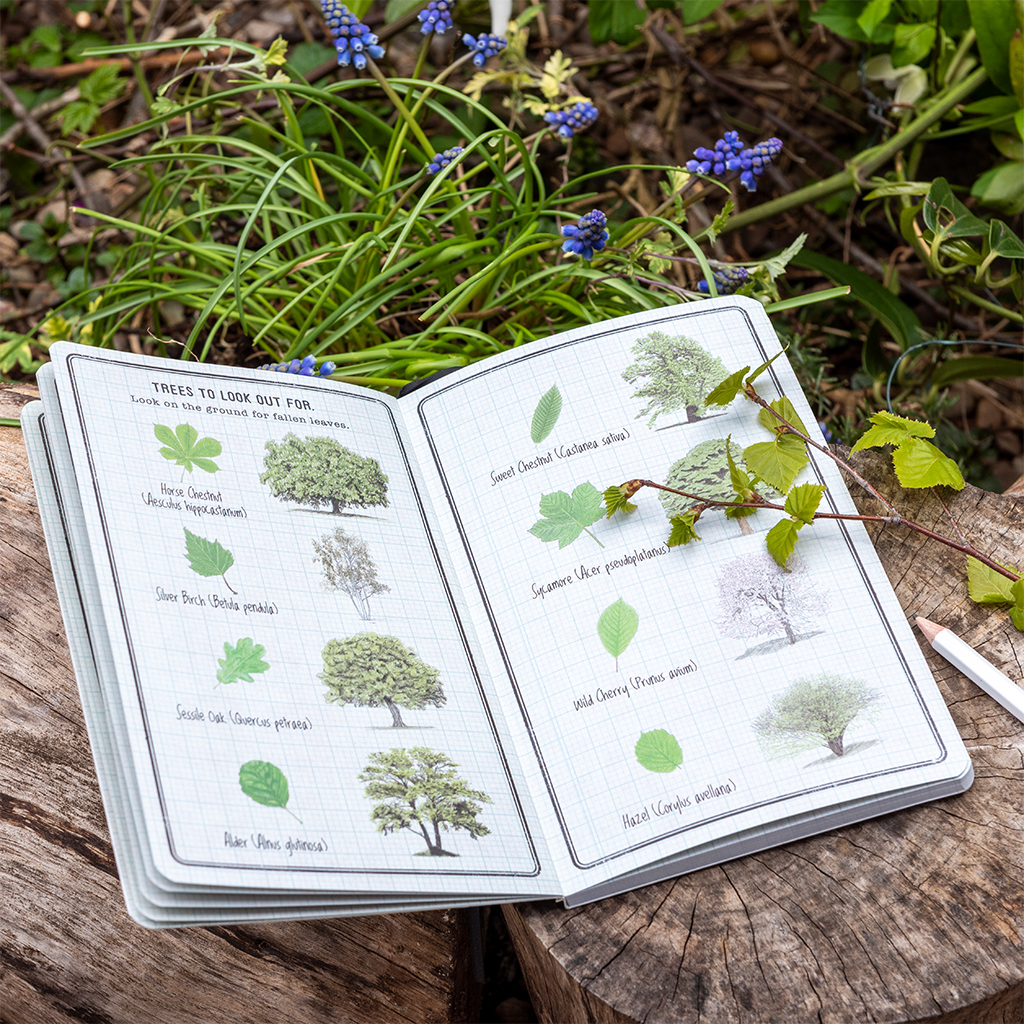 Children's Journal - Nature Trail | ﻿Rex London