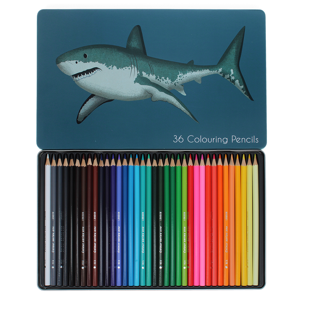 36 colouring pencils in a tin - Sharks | ﻿Rex London