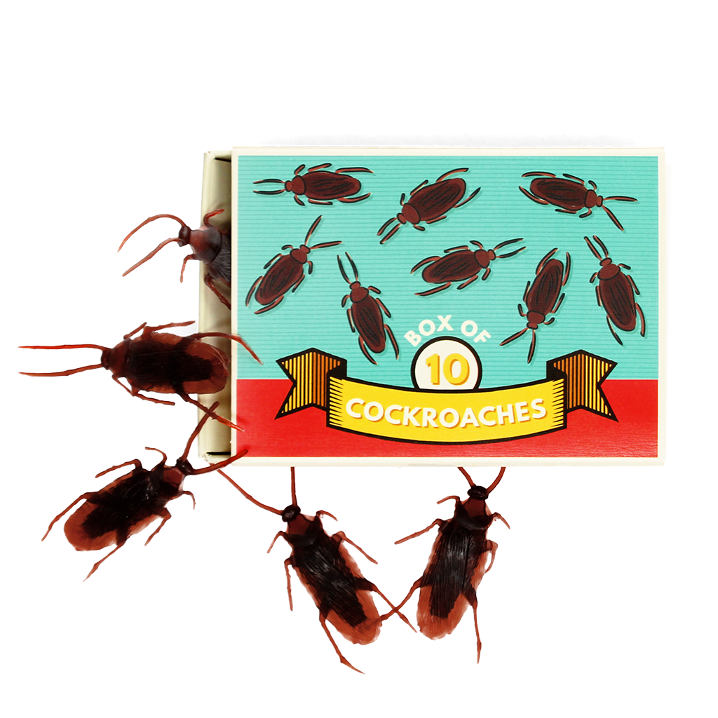 Box of 10 cockroaches - Classic Jokes | ﻿Rex London