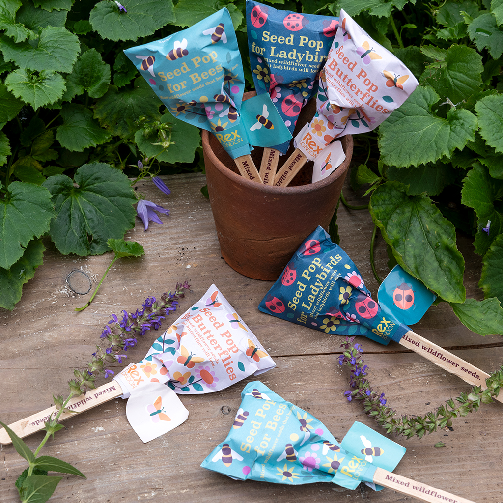 Seed pops - Wildflower seeds (assorted - SINGLE) | ﻿Rex London