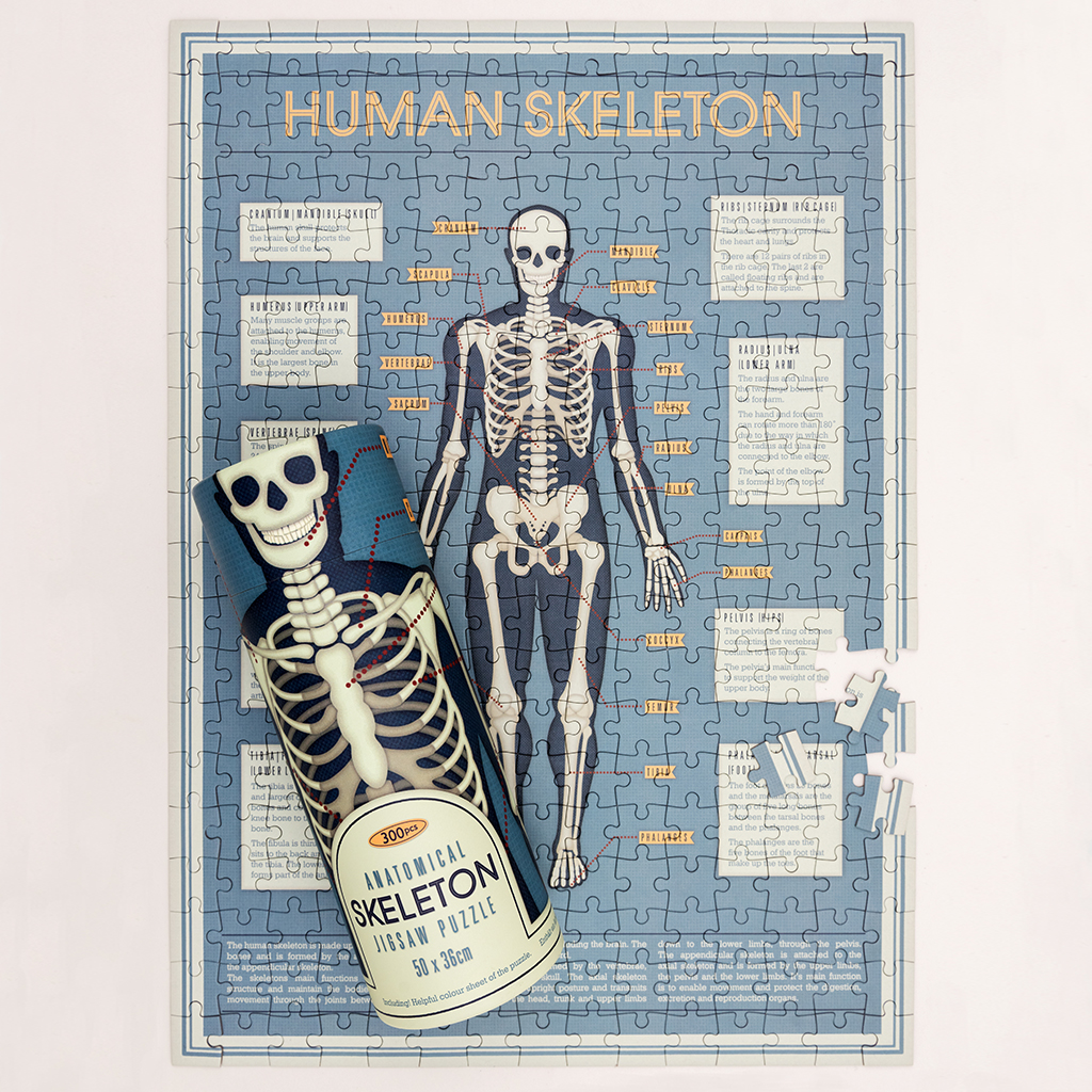 ANATOMICAL SKELETON 300 PIECE PUZZLE IN A TUBE | ﻿Rex London