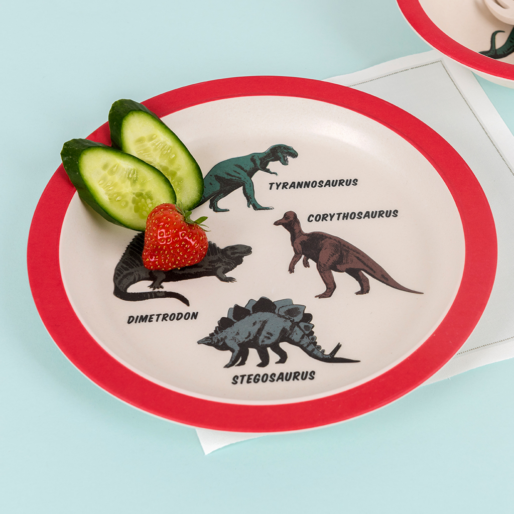 Prehistoric Land Bamboo Plate | ﻿Rex London