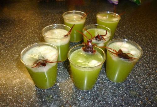 Host the wildest kid’s outdoor survival party ever | Rex London blog