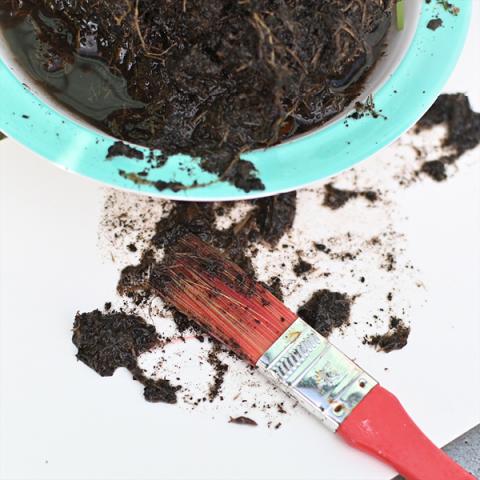 Things to do on a rainy day