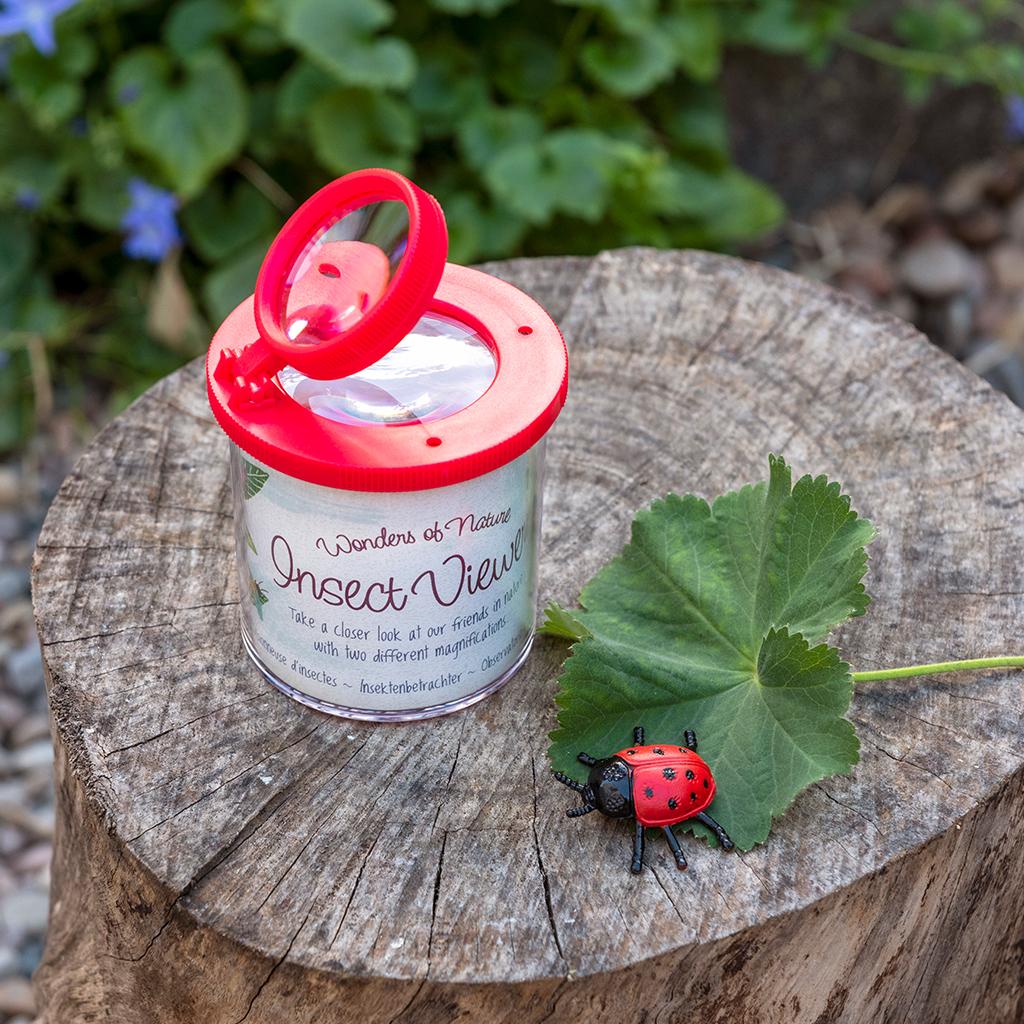 Wonders Of Nature Insect Viewer | ﻿Rex London