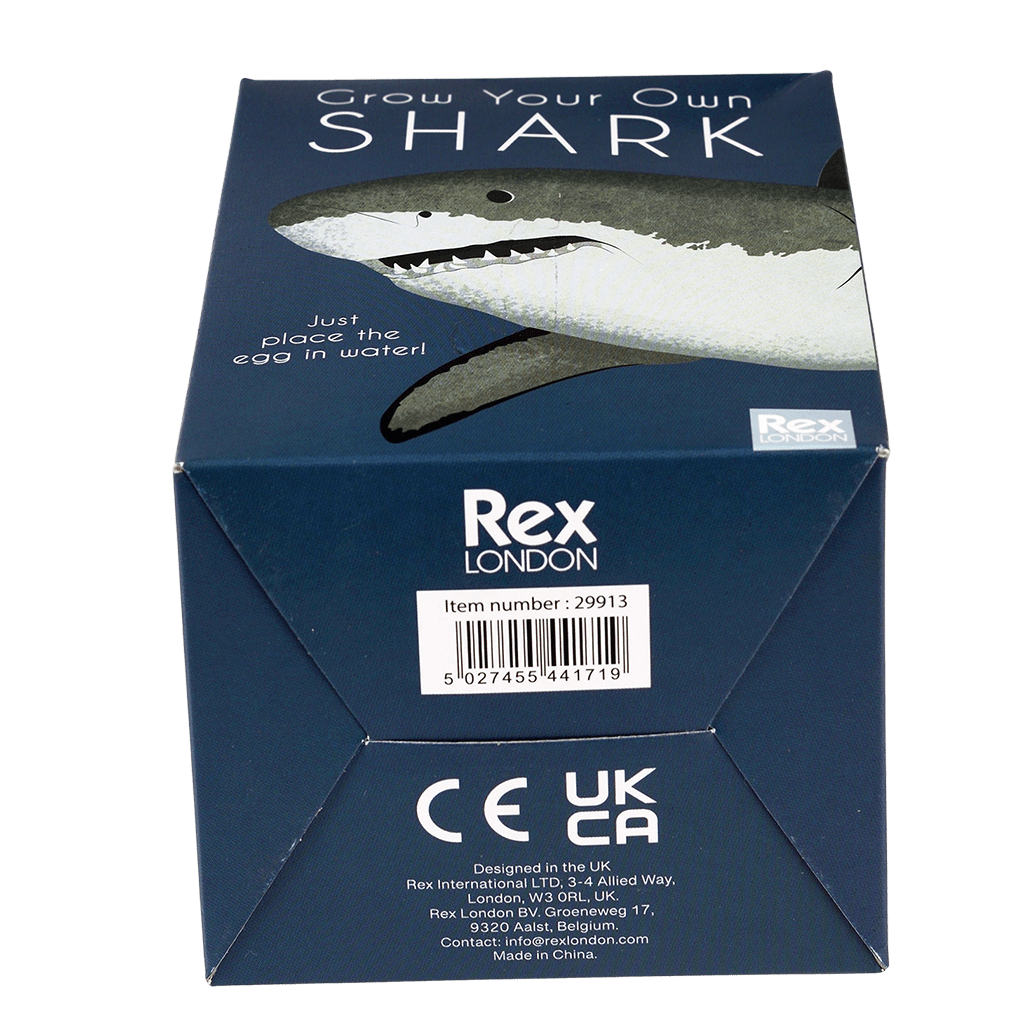 Œuf De Requin À Écouver Géant Sharks | ﻿Rex London