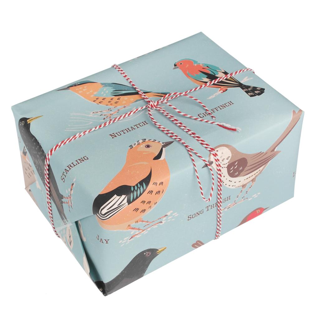 Garden Birds Wrapping Paper (5 Sheets) | ﻿Rex London
