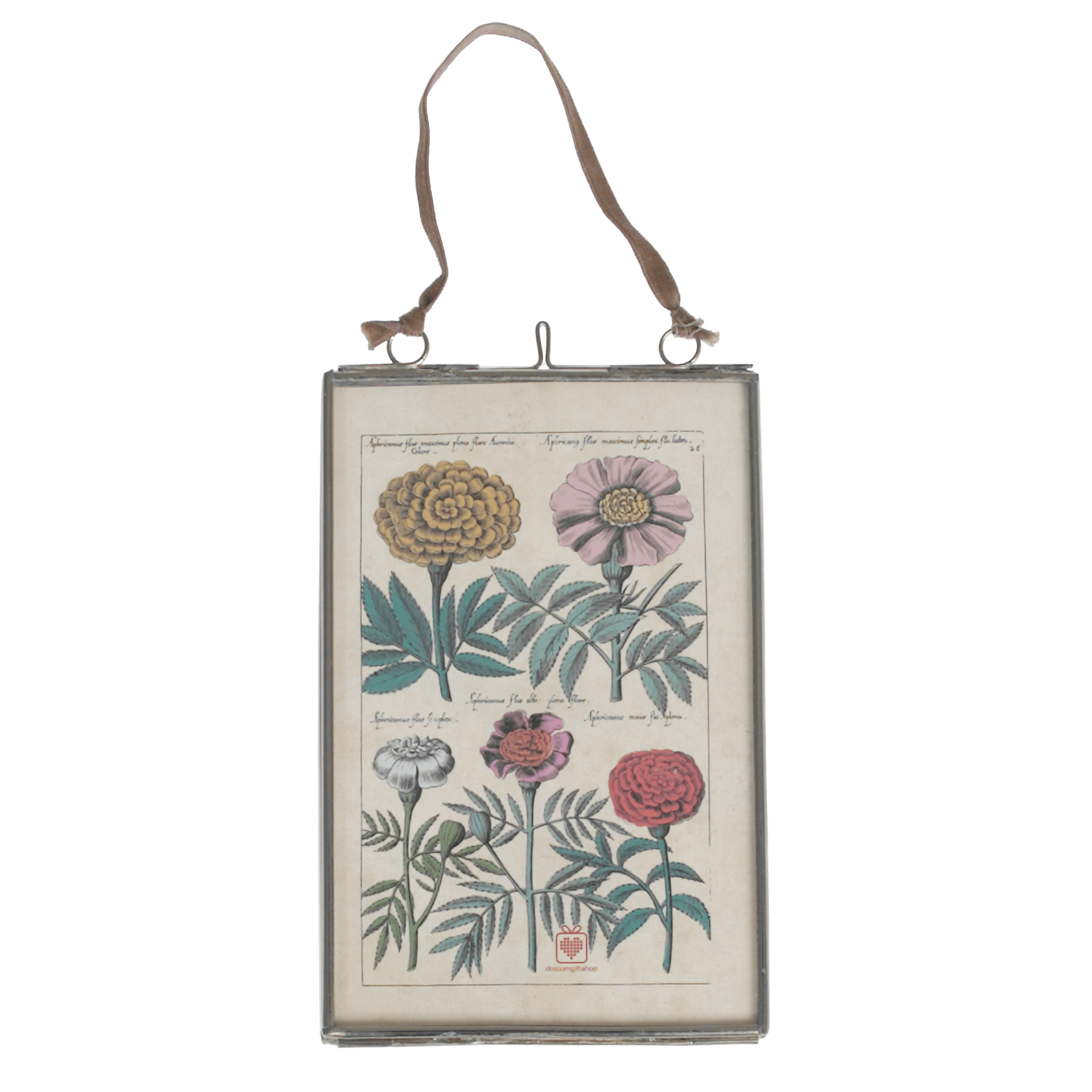 Glass Hanging Frame In Silver 15x10cm | ﻿Rex London