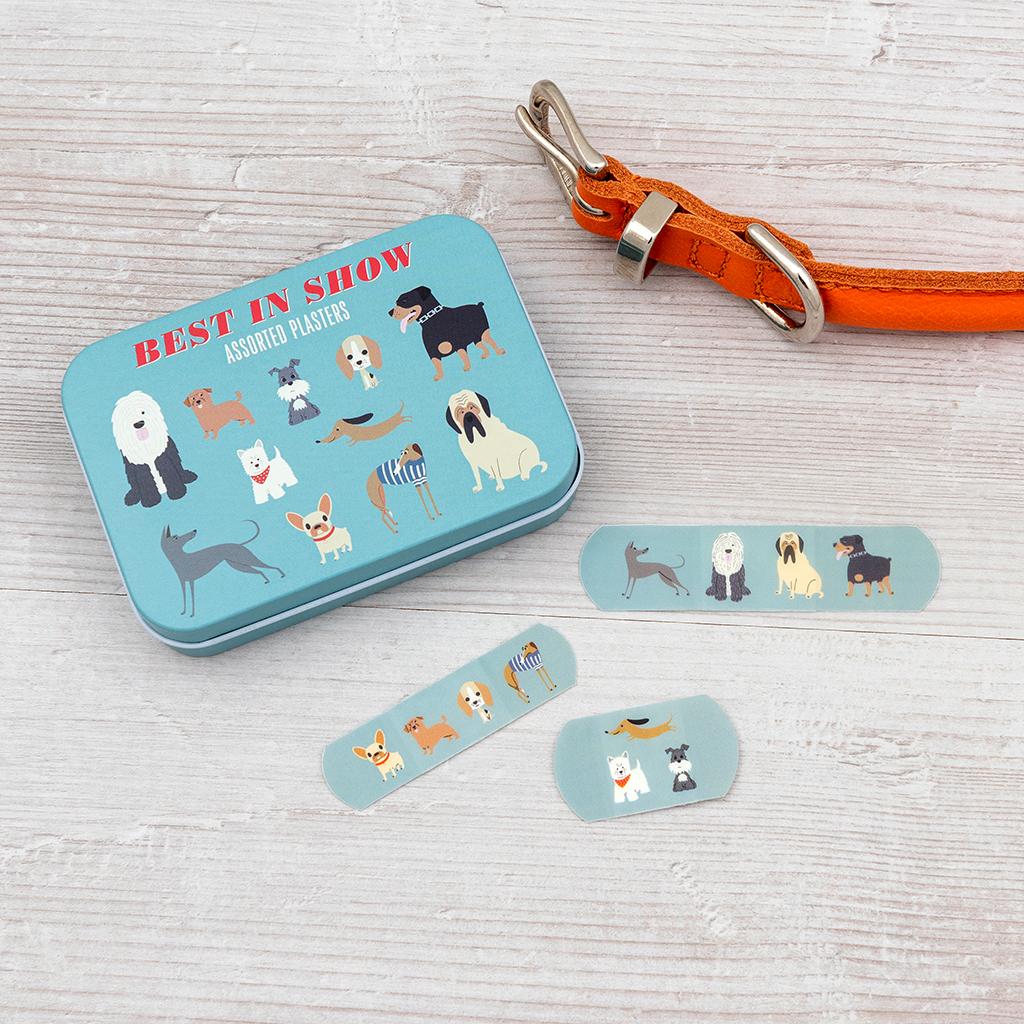 Best In Show Plasters In A Tin (pack Of 30) | ﻿Rex London