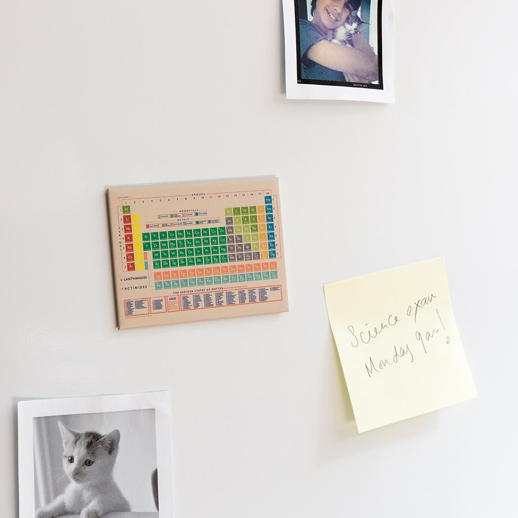 Periodic Table Fridge Magnet | ﻿Rex London