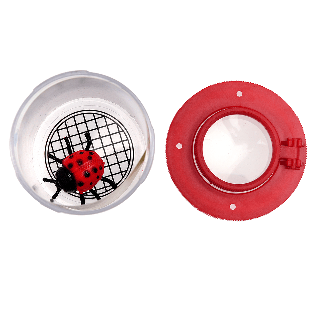 Wonders Of Nature Insect Viewer | ﻿Rex London