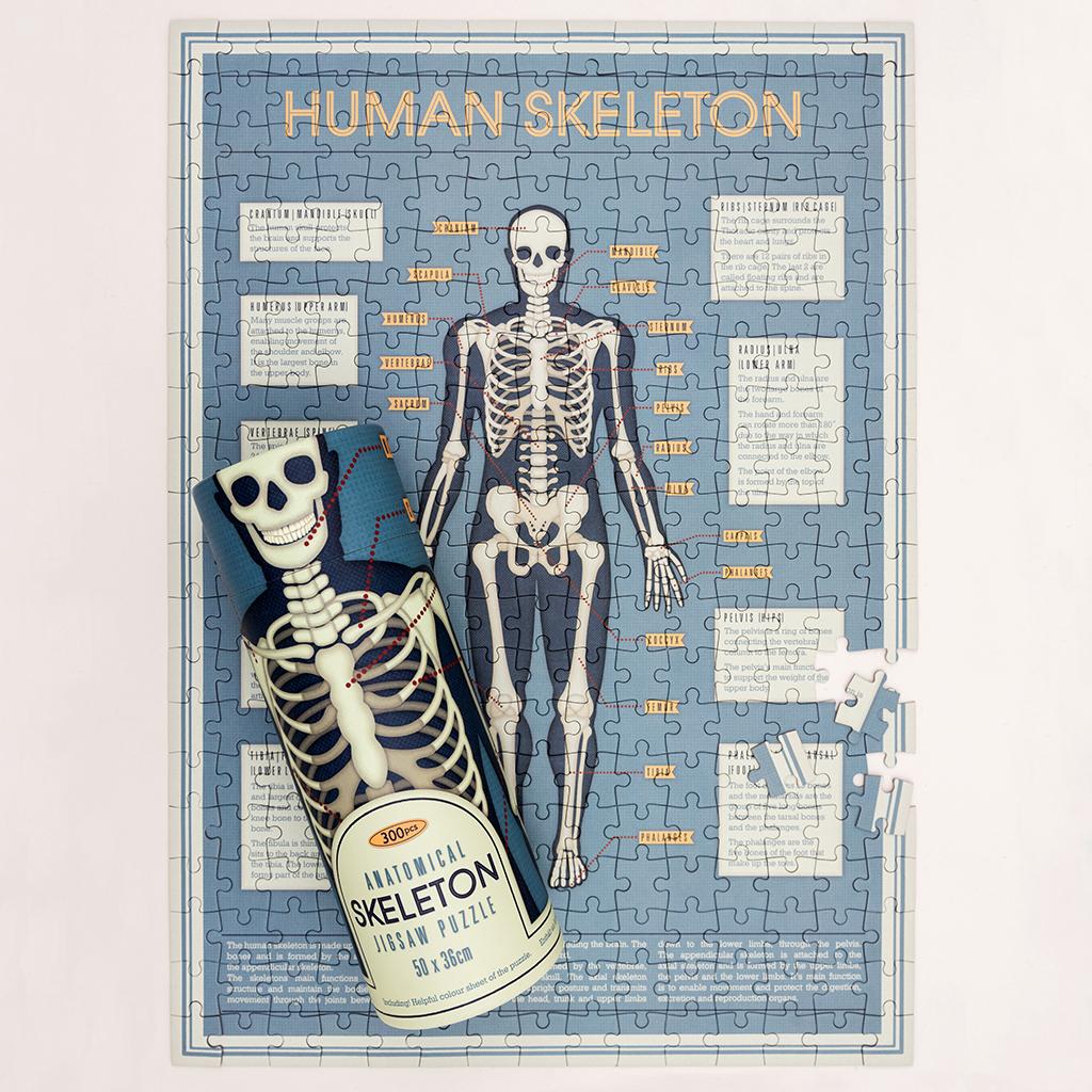 Anatomical Skeleton 300 Piece Puzzle In A Tube | ﻿Rex London