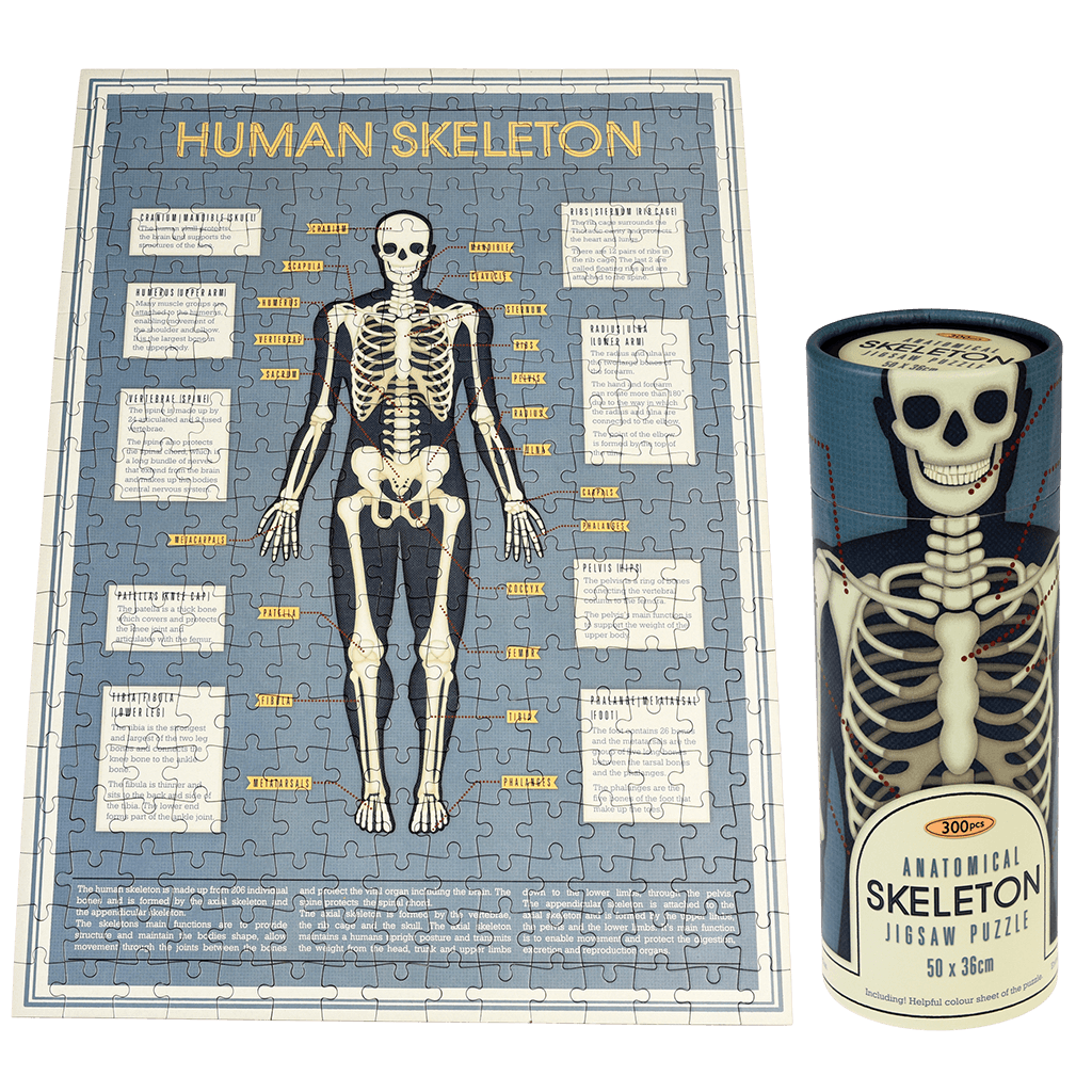 Anatomical Skeleton 300 Piece Puzzle In A Tube | ﻿Rex London