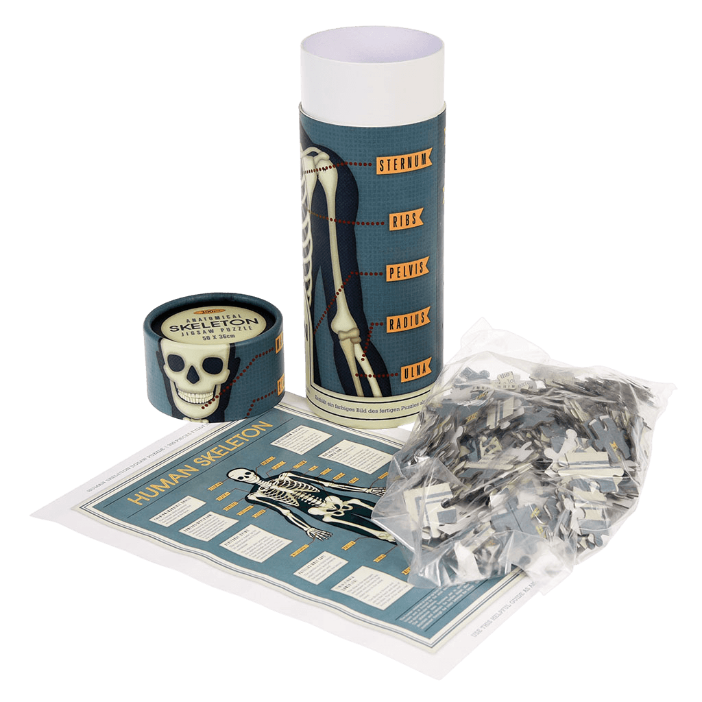 Anatomical Skeleton 300 Piece Puzzle In A Tube | ﻿Rex London
