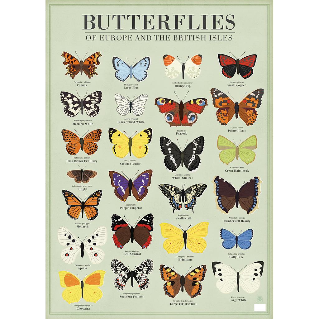 5 Sheets Of Butterflies Wrapping Paper | ﻿Rex London