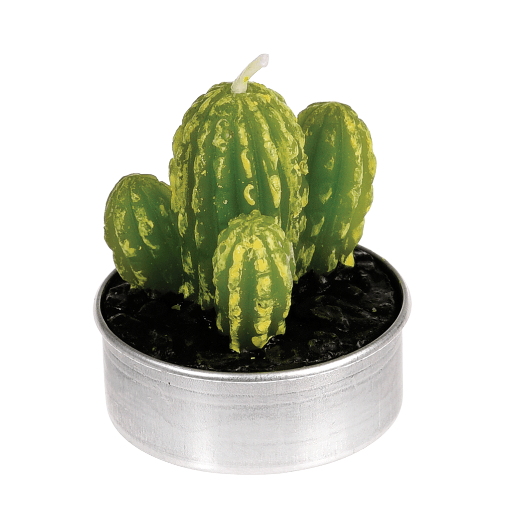 Cactus Tea Lights (set Of 6) | ﻿Rex London