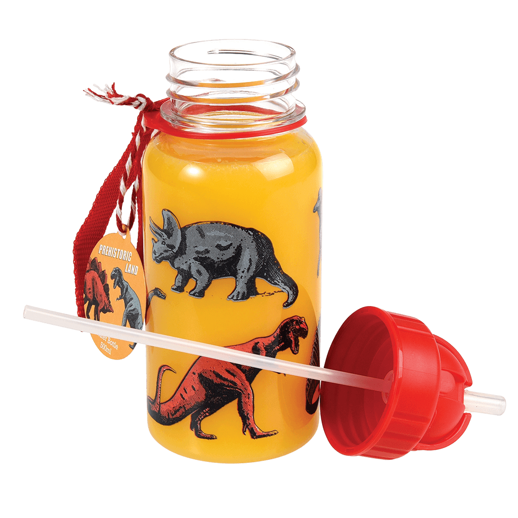 Prehistoric Land Water Bottle | ﻿Rex London