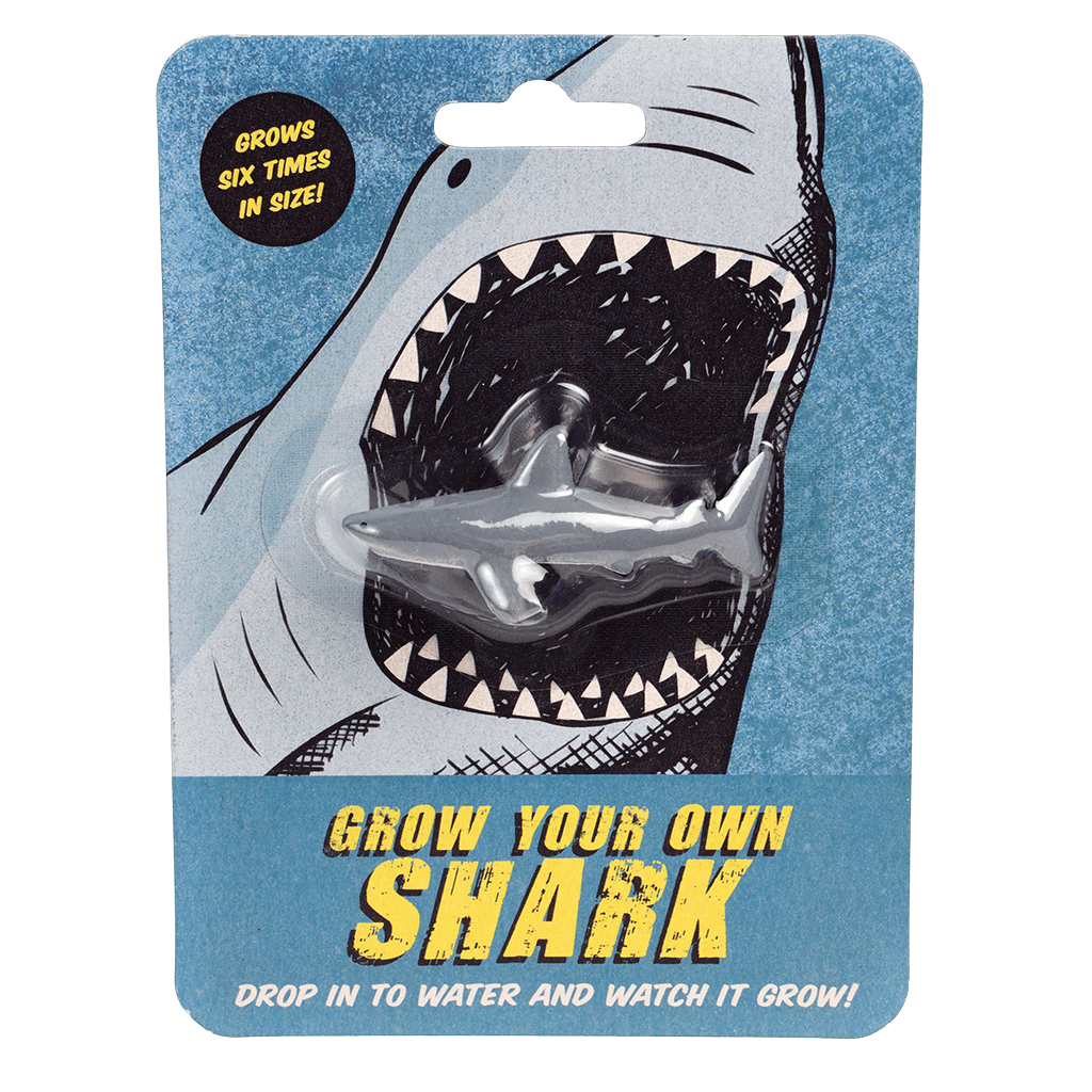Grow Your Own Shark | ﻿Rex London
