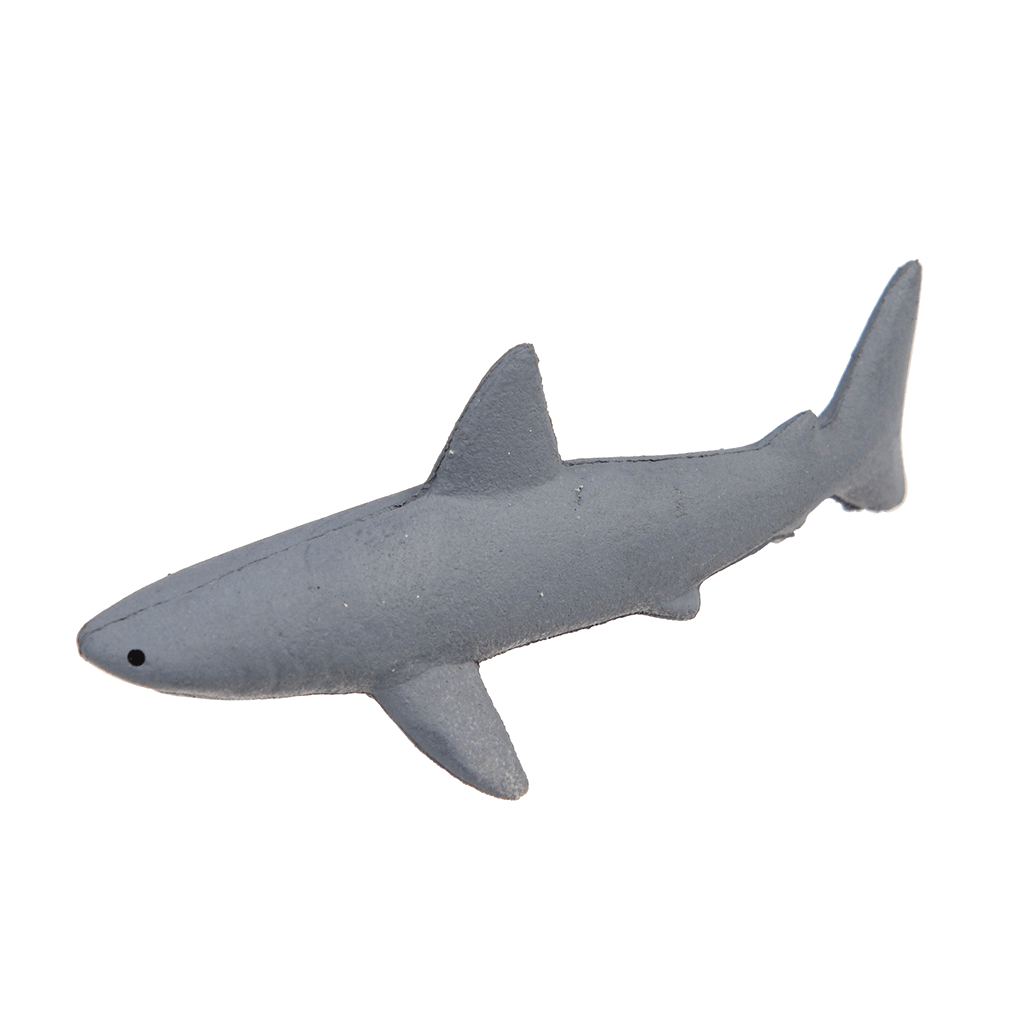 Grow Your Own Shark | ﻿Rex London