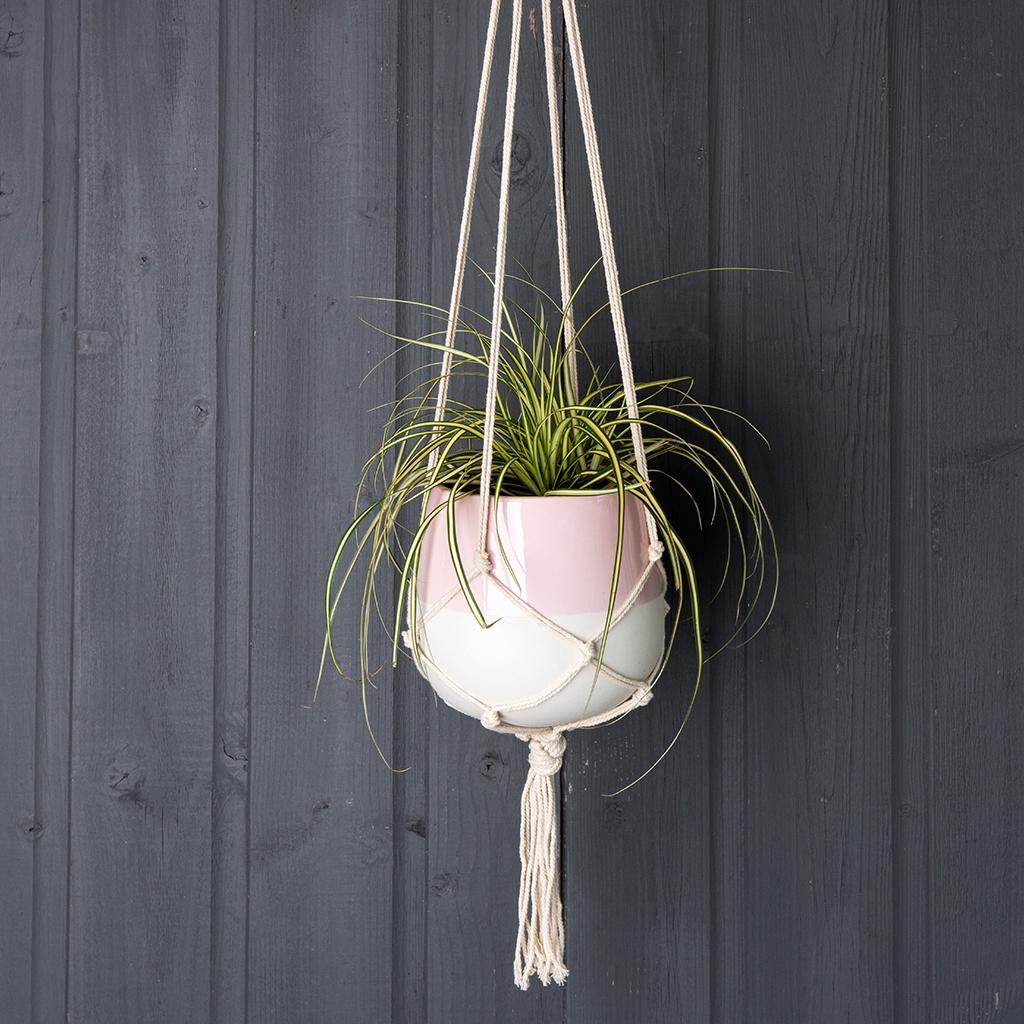 Large Baby Pink Dipped Macrame Plant Pot | ﻿Rex London
