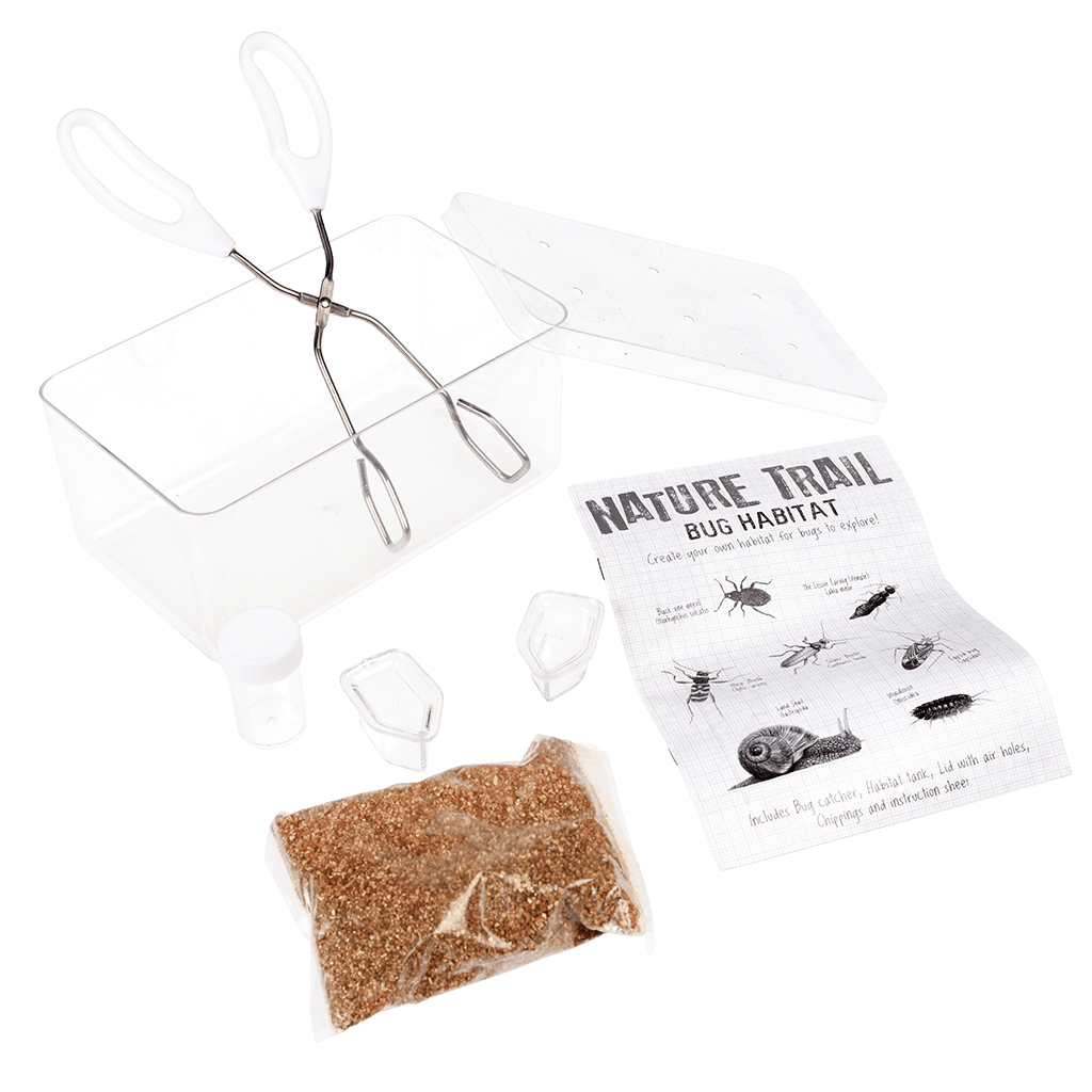 Make Your Own Bug Habitat | ﻿Rex London