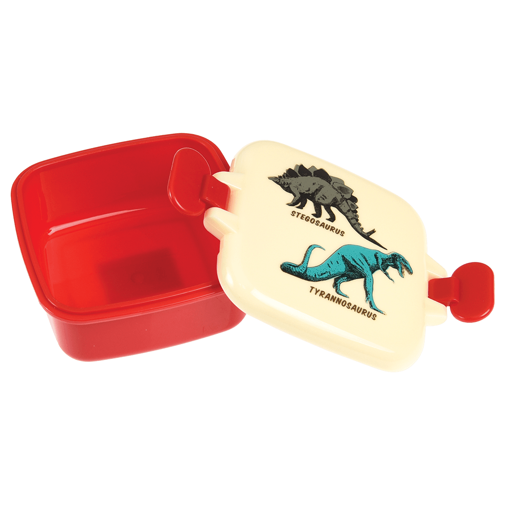 Prehistoric Land Snack Pot | ﻿Rex London