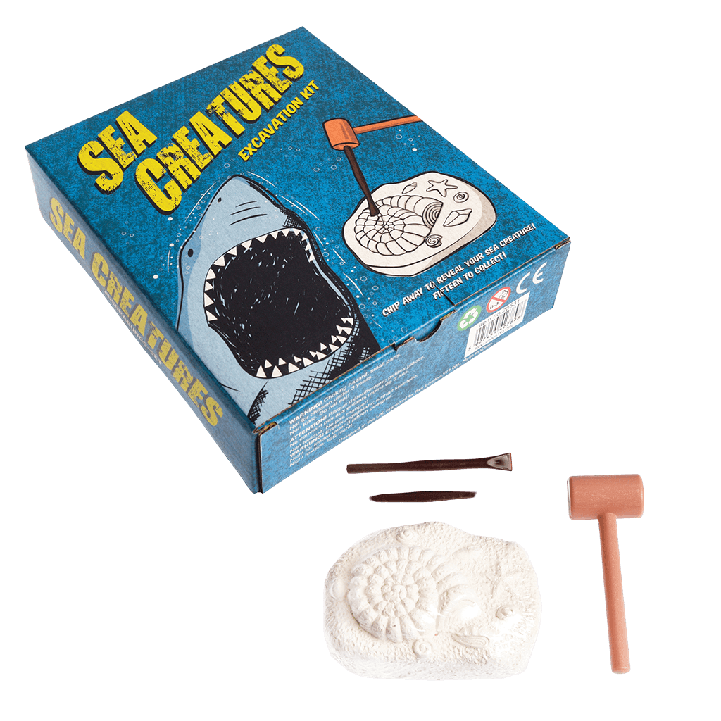 Sea Creature Excavation Kit | ﻿Rex London