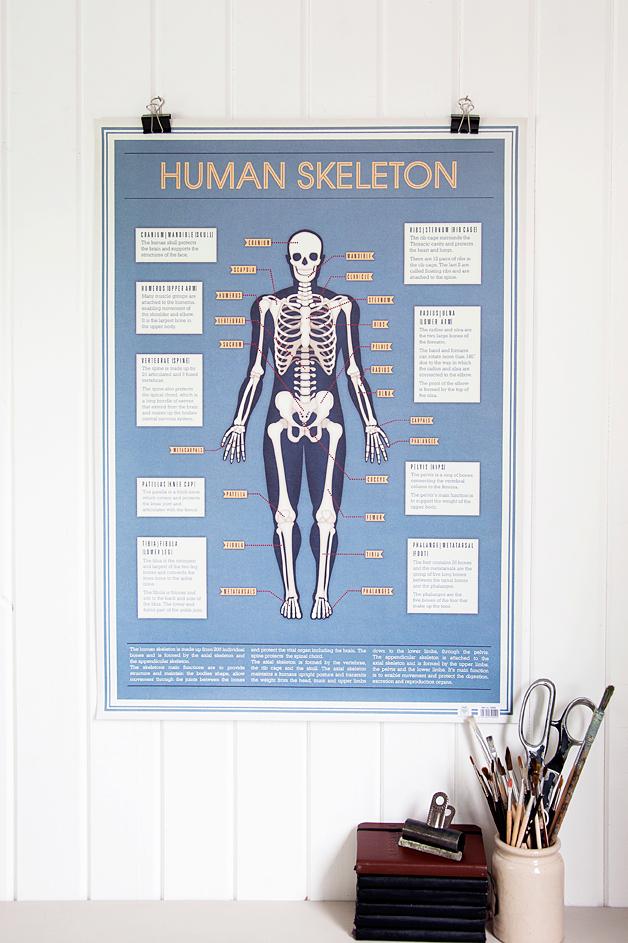 5 Sheets Of Human Skeleton Wrapping Paper | ﻿Rex London