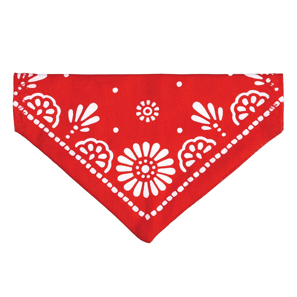 Small Red Paisley Dog Bandana | ﻿Rex London