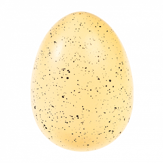 Œuf De Requin À Écouver Géant Sharks | ﻿Rex London