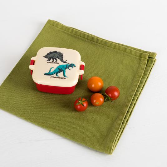 Prehistoric Land Snack Pot | ﻿Rex London