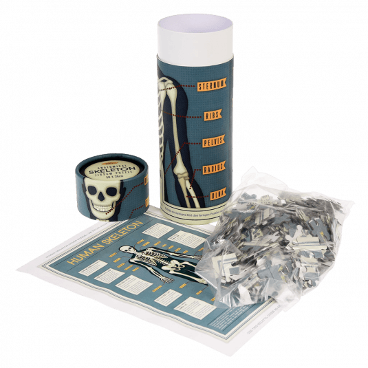 Anatomical Skeleton 300 Piece Puzzle In A Tube | ﻿Rex London