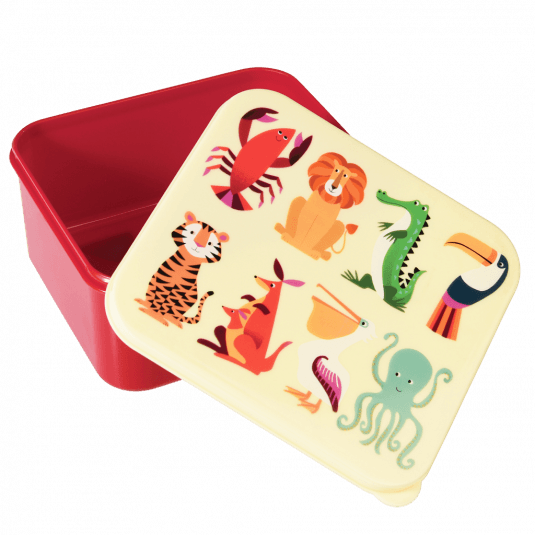 Colourful Creatures Lunch Box | ﻿Rex London