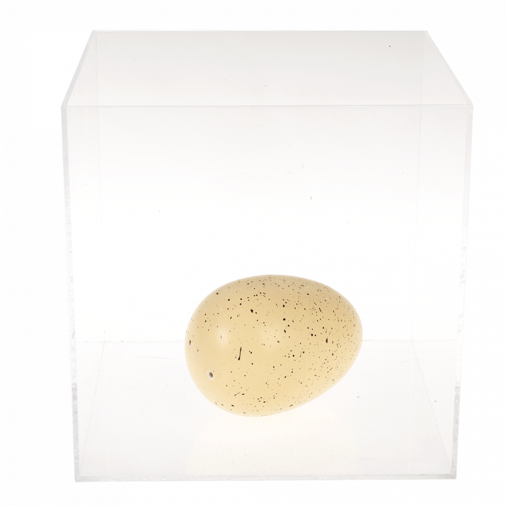 Prehistoric Land Giant Hatching Dinosaur Egg | ﻿Rex London