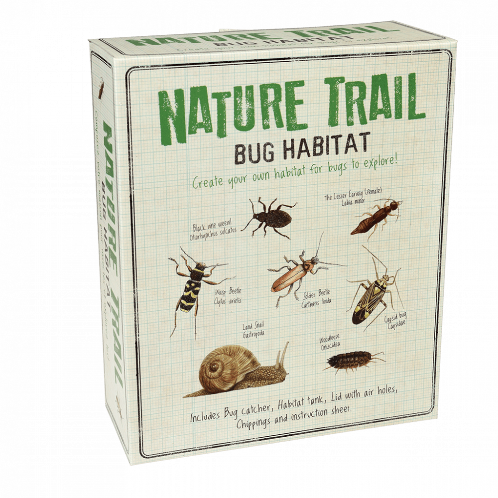Make Your Own Bug Habitat | ﻿Rex London