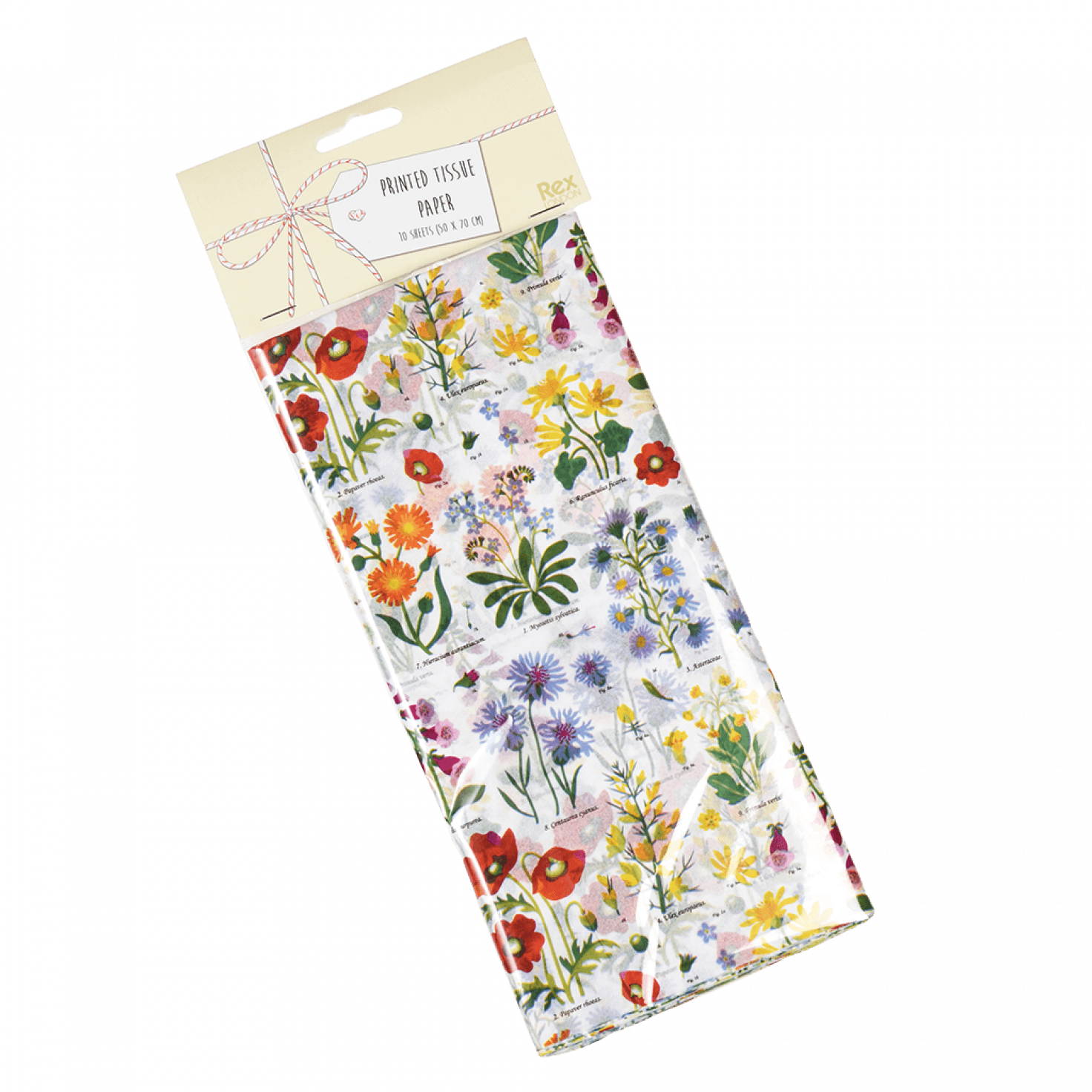 Wild Flowers Tissue Paper (10 Sheets) | ﻿Rex London