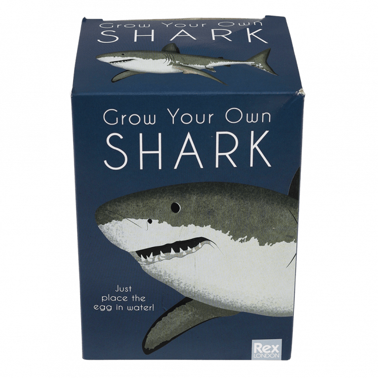 Sharks Giant Hatching Shark Egg | ﻿Rex London