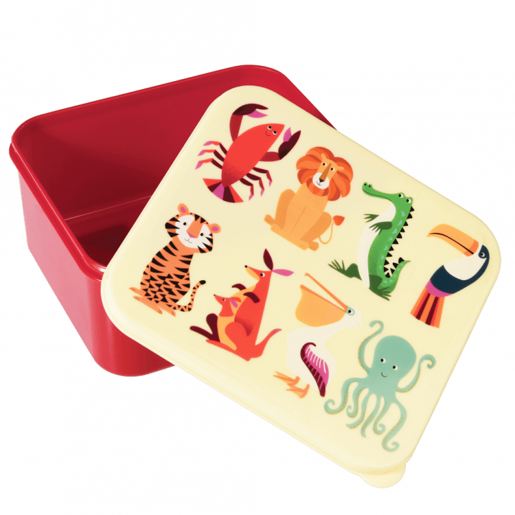 Colourful Creatures Lunch Box | ﻿Rex London