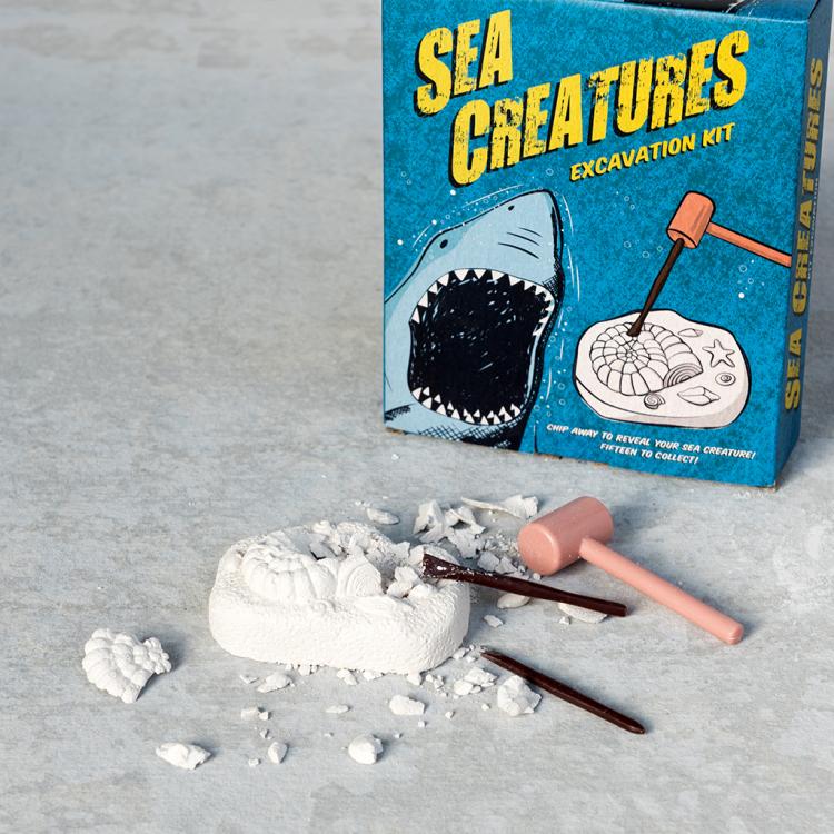 Sea Creature Excavation Kit | ﻿Rex London