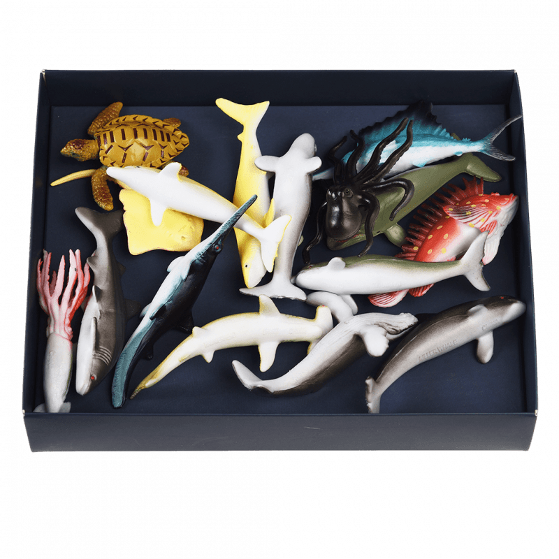 Ocean animals (box of 16) | ﻿Rex London