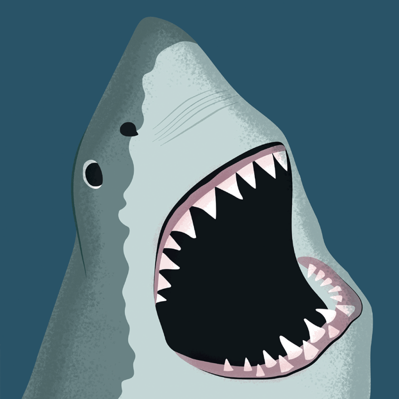 Greetings card - Shark | ﻿Rex London