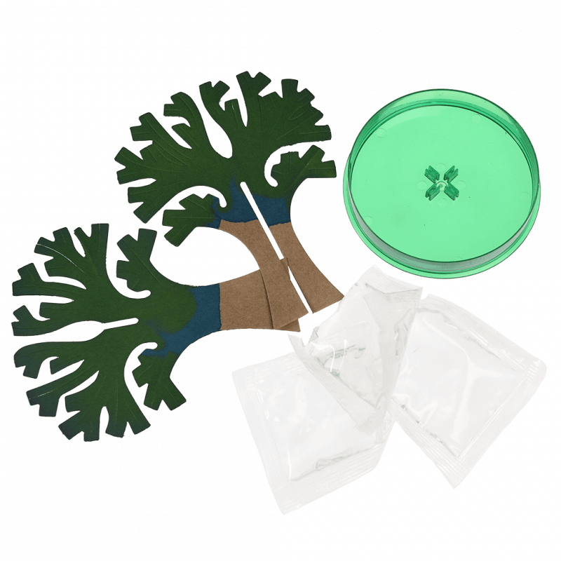 Magic growing tree - Wonders of Nature | ﻿Rex London