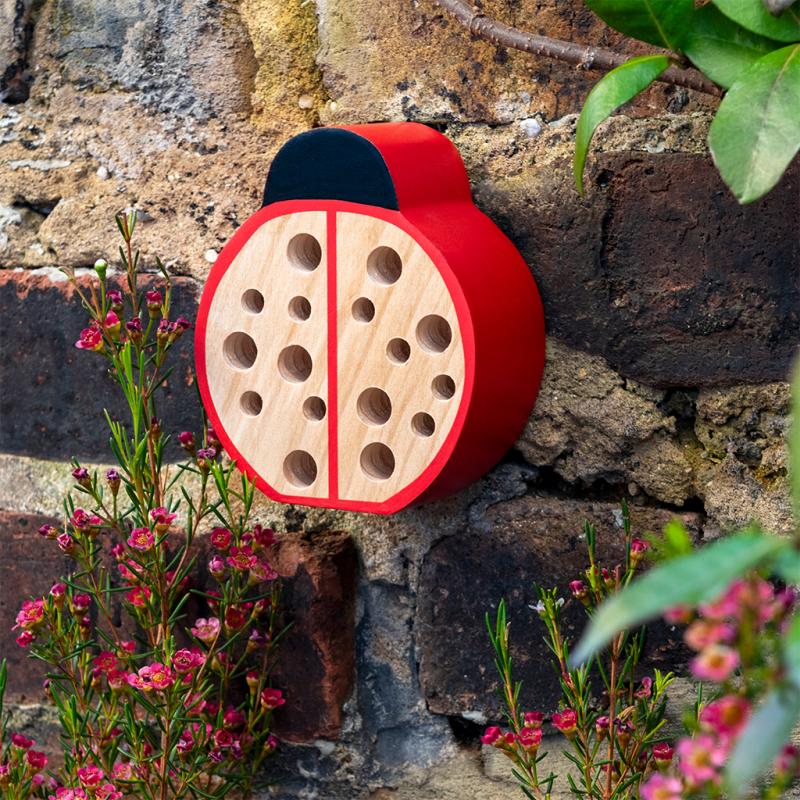 Wooden bug hotel - Ladybird | ﻿Rex London