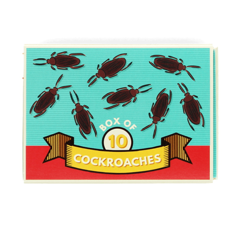 Box of 10 cockroaches - Classic Jokes | ﻿Rex London