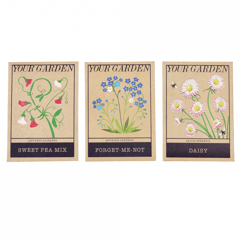 Pack of flower seeds - Your Garden (assorted - SINGLE) | ﻿Rex London