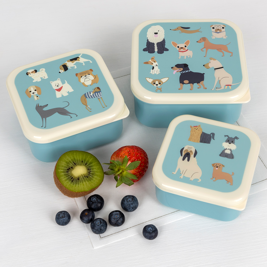 Best In Show Snack Boxes (set Of 3) | Rex London