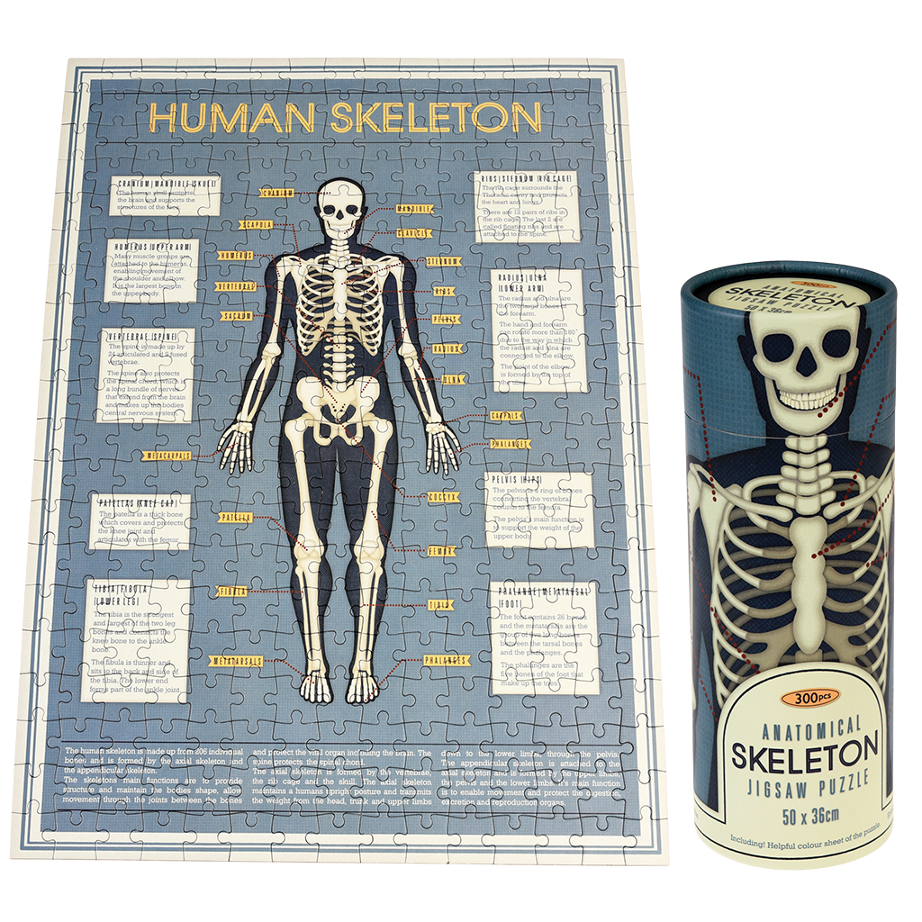 Anatomical Skeleton 300 Piece Puzzle In A Tube | Rex London