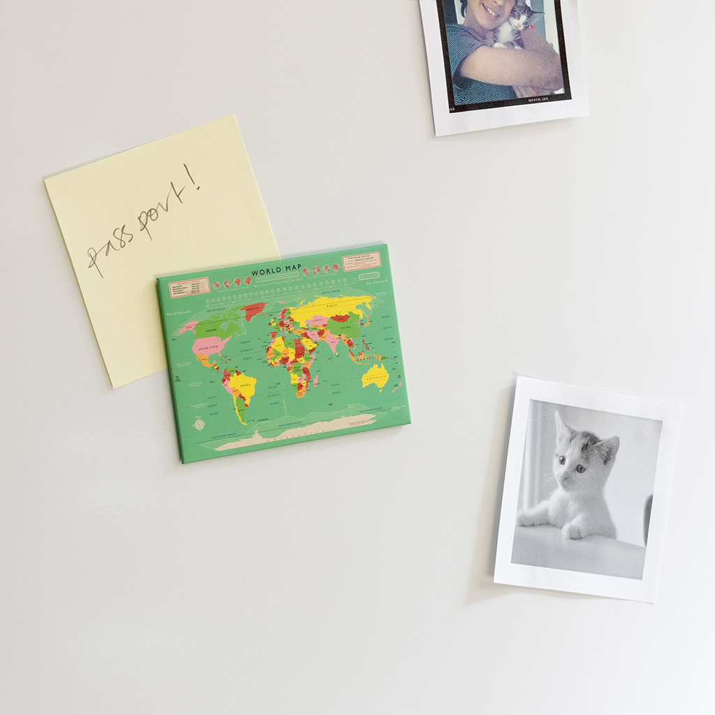 World Map Fridge Magnet | Rex London