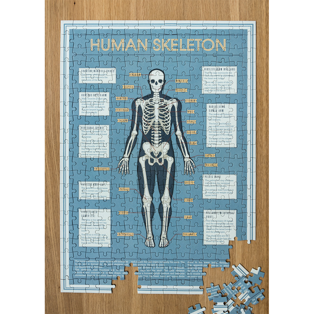 Anatomical Skeleton Puzzle In A Tube | Rex London (dotcomgiftshop)